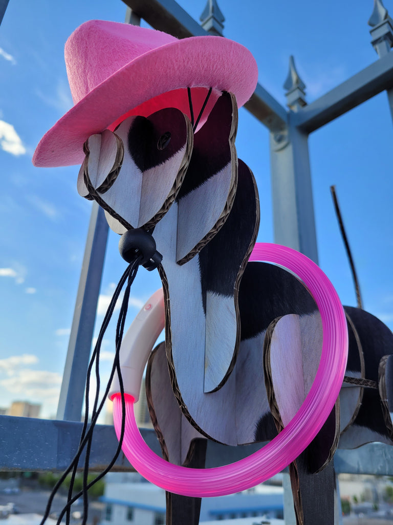 Kitty Rave Kit – International Cat House LLC