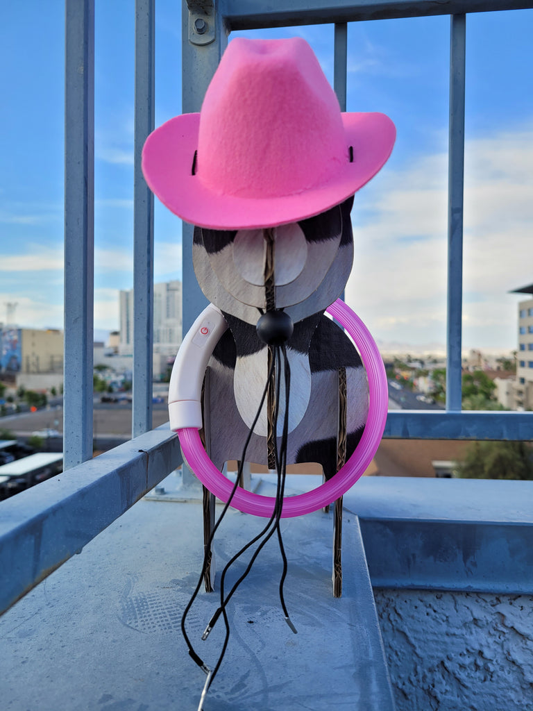 Kitty Rave Kit – International Cat House LLC